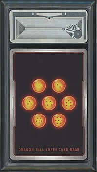 Collector Store Cards Tcg e Accessori